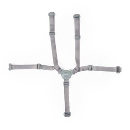 5-point Harness Evolu - Mint | Childhome.com